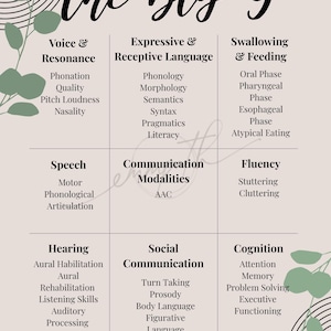 SLP Big 9 Study Chart: Speech-language Pathology ASHA Scope (PDF ...