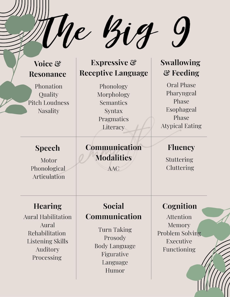 SLP Big 9 Study Chart: Speech-language Pathology ASHA Scope (PDF ...