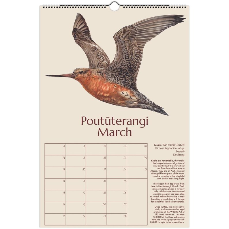 Perpetual Calendar, Manu Māori, Native Birds (US & CA) - Etsy