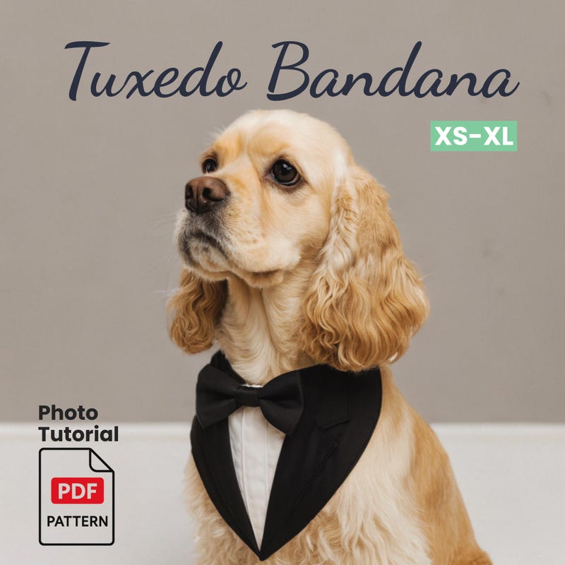 Dog Outfit Xs - Etsy