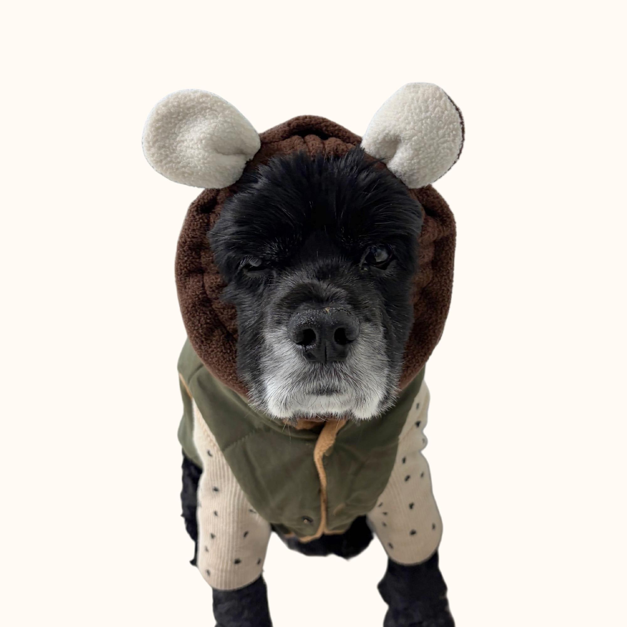 Bear Snood Sewing Pattern PDF | Beginner Fleece Dog Snood - Etsy