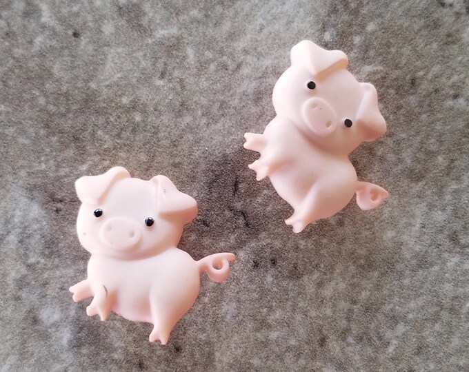 2 Barnyard Pig Shank Buttons Size 13/16" - Etsy