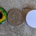 Monster Eyes Large Flat Back Buttons Embellishments Size 15/16" You ...