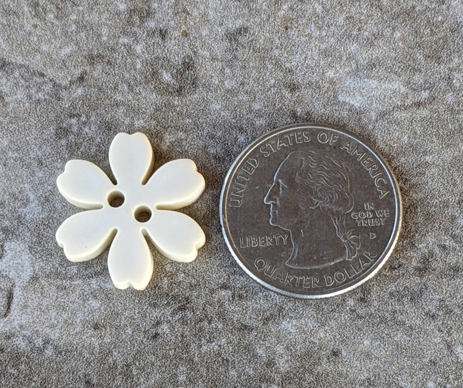 6 Ivory Primrose Large Flower Buttons Size 13/16" - Etsy