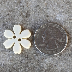 6 Ivory Primrose Large Flower Buttons Size 13/16" - Etsy