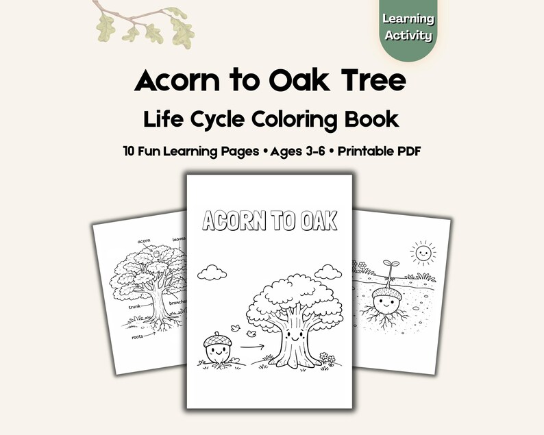 Acorn to Oak Tree Life Cycle Coloring Book | Kids Science Activity ...