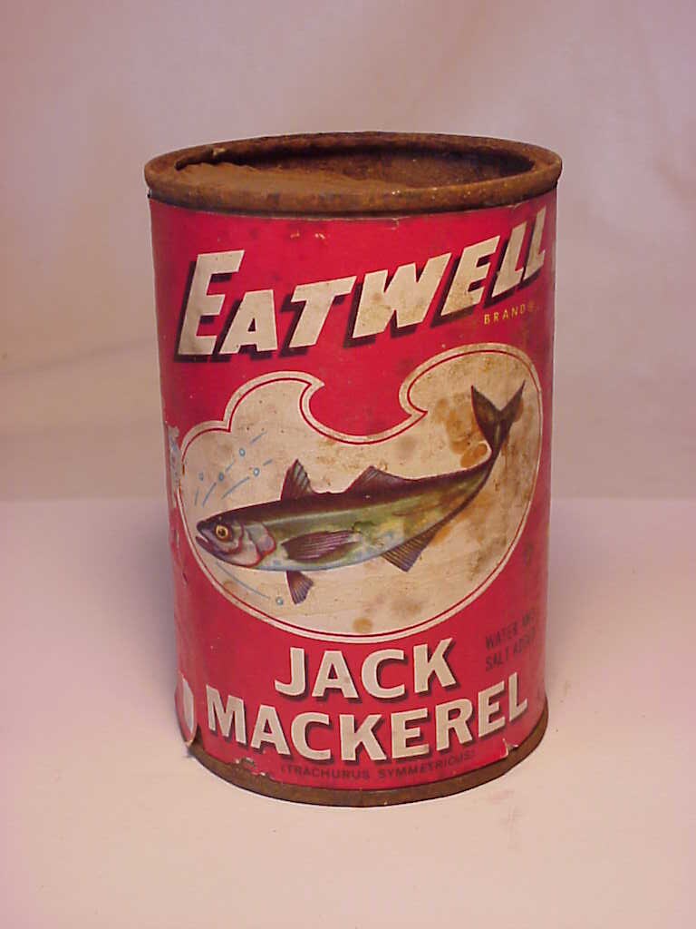 Jack Mackerel