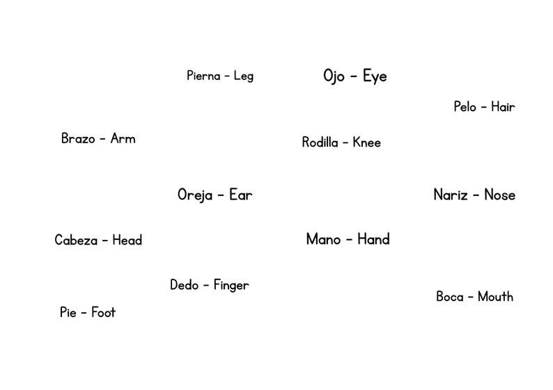 24 Montessori Flashcards – Body Parts Vocabulary and Matching in ...