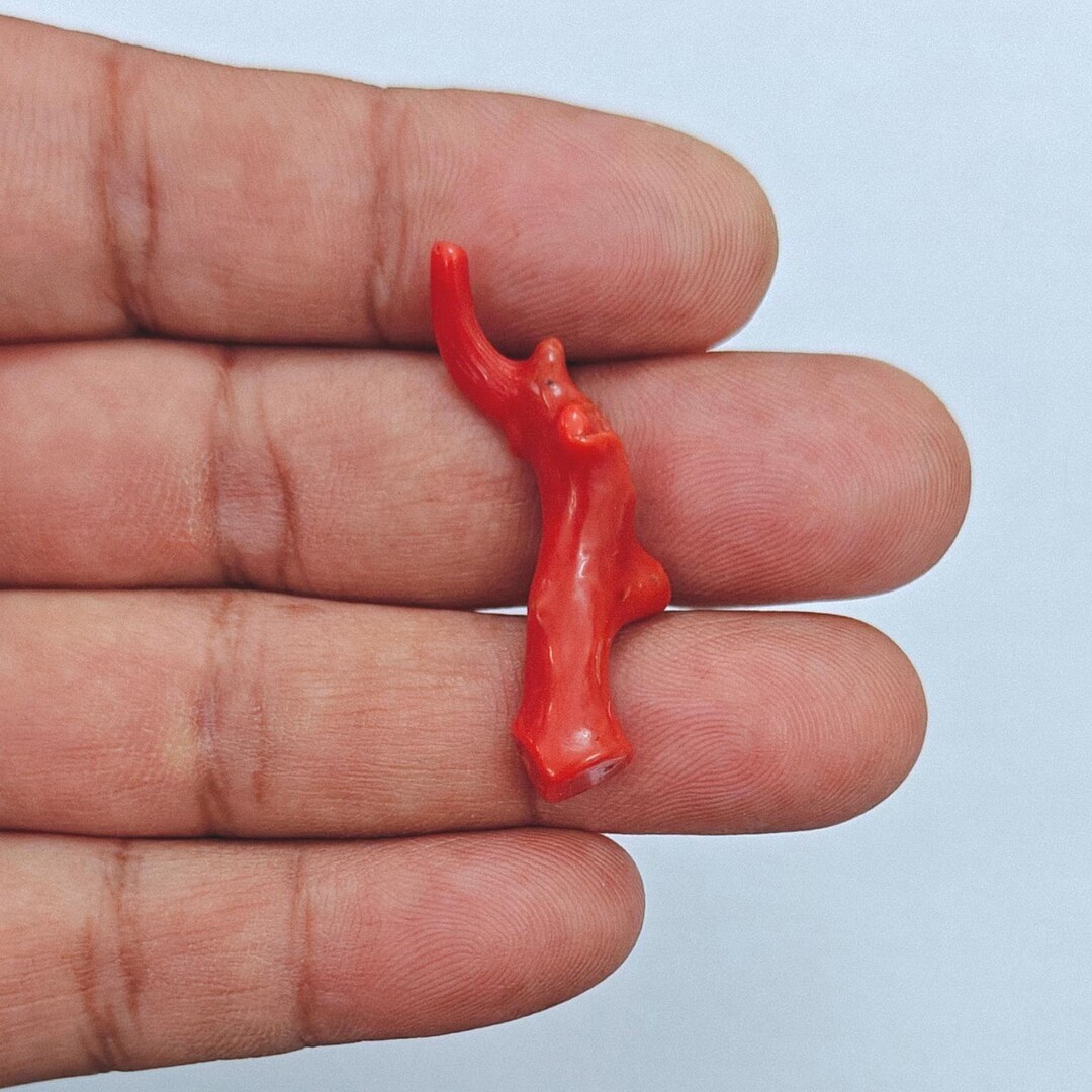 Raw Red Coral Polished Branch: Mediterranean Sea Coral Stick Gemstone ...