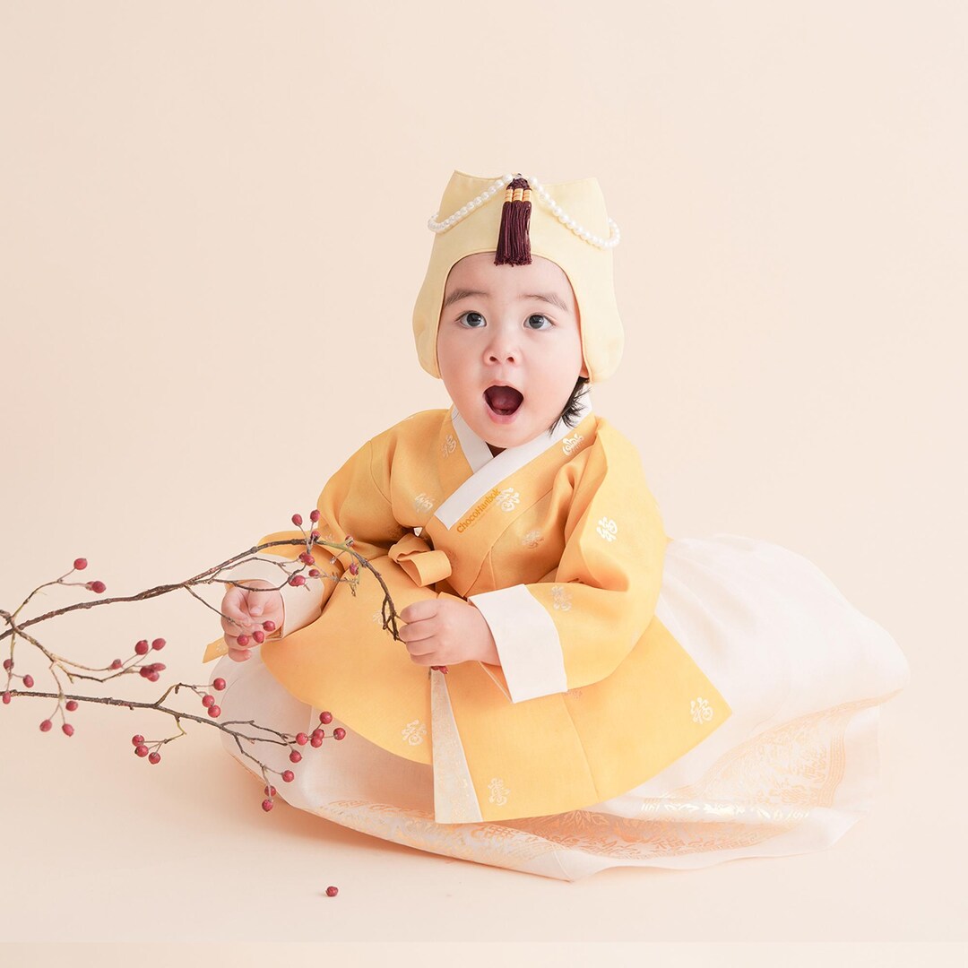 Korean Hanbok for Dohl (1st Birthday) Girl – Handmade Silk Dangui ...