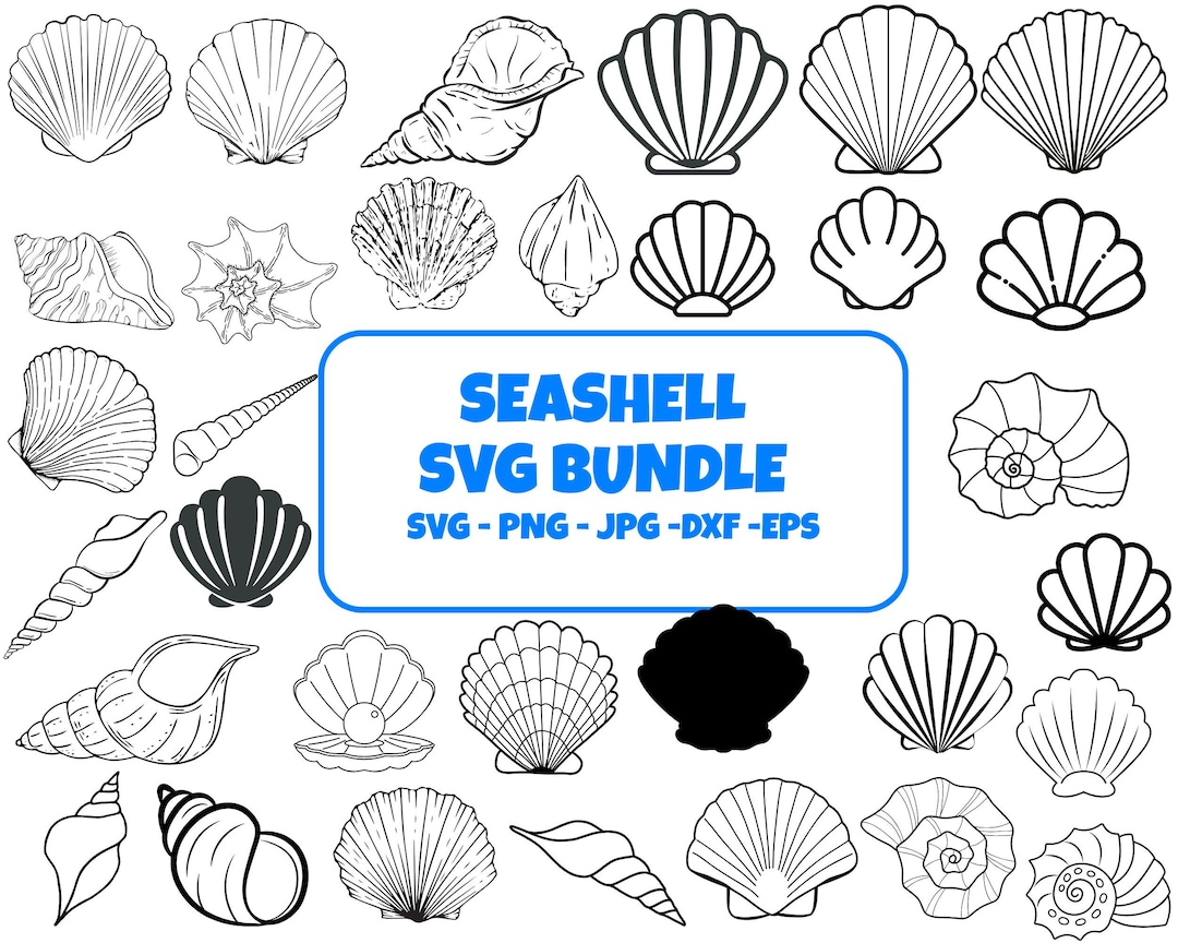 Seashell SVG Bundle, Clipart, Cut Files for Cricut (digital Download ...