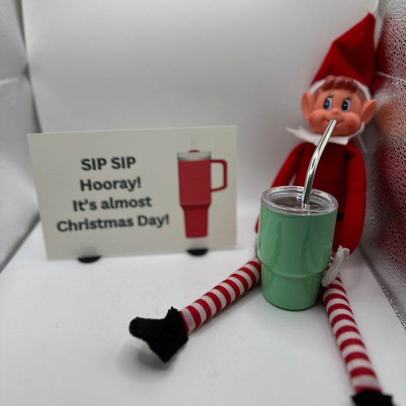 Elf Stanley Cup - Etsy