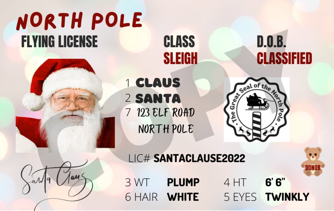 Santa's Flying License - Etsy