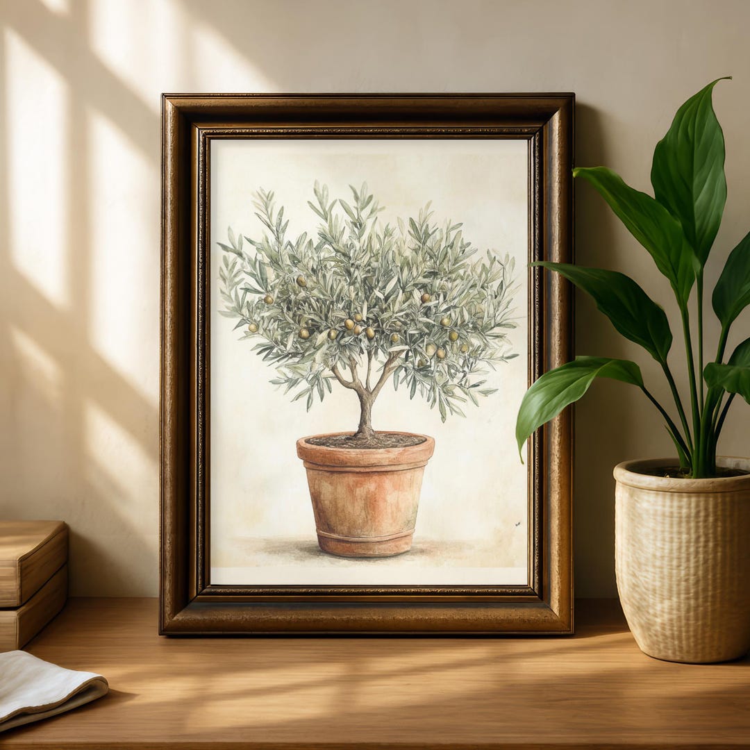 Vintage Olive Tree Print, Tuscan Wall Art Olive Tree Wall Art Print ...