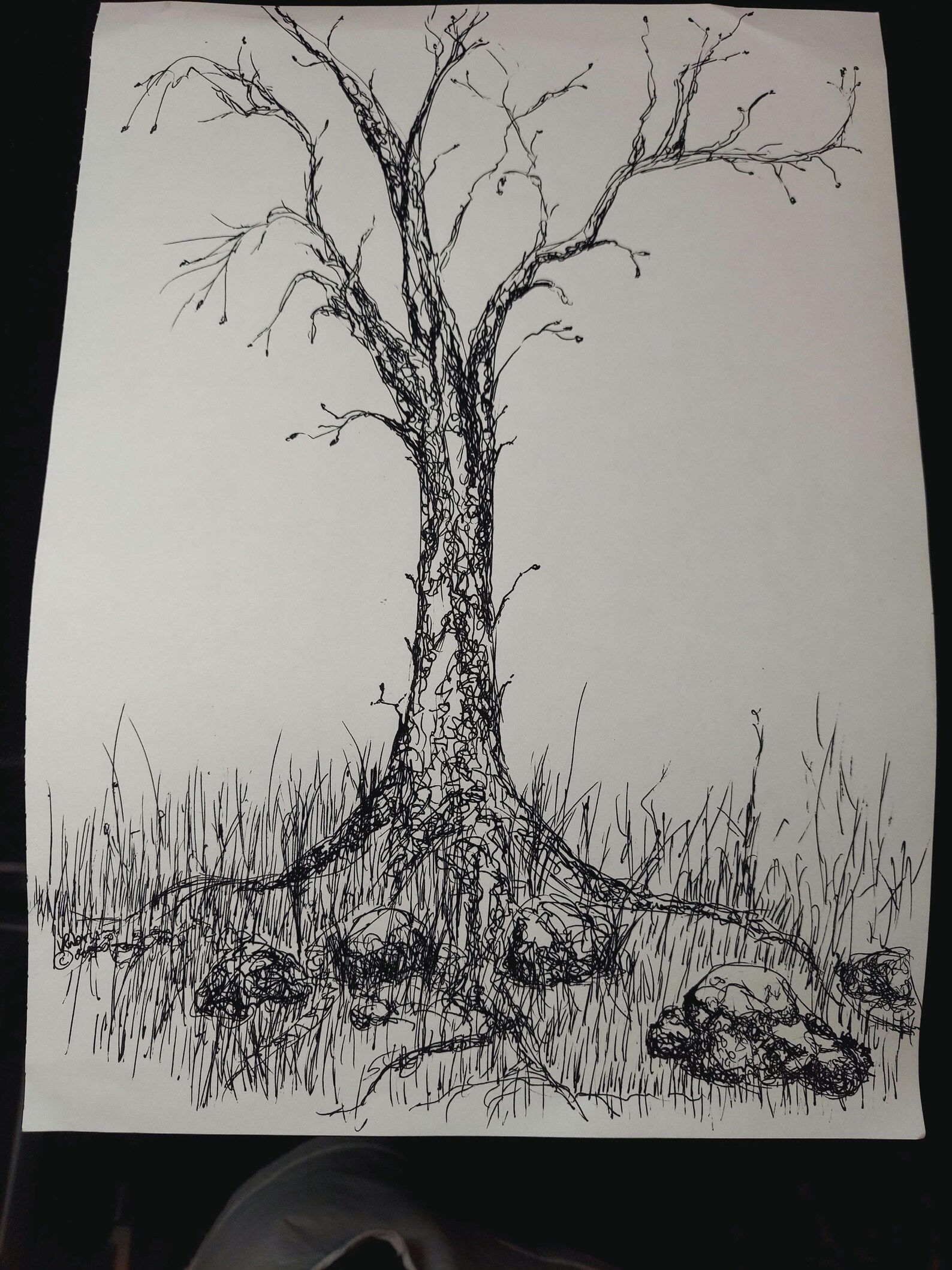 Tree Drawing, Pen and Ink, Black and White. 9 X 12 - Etsy