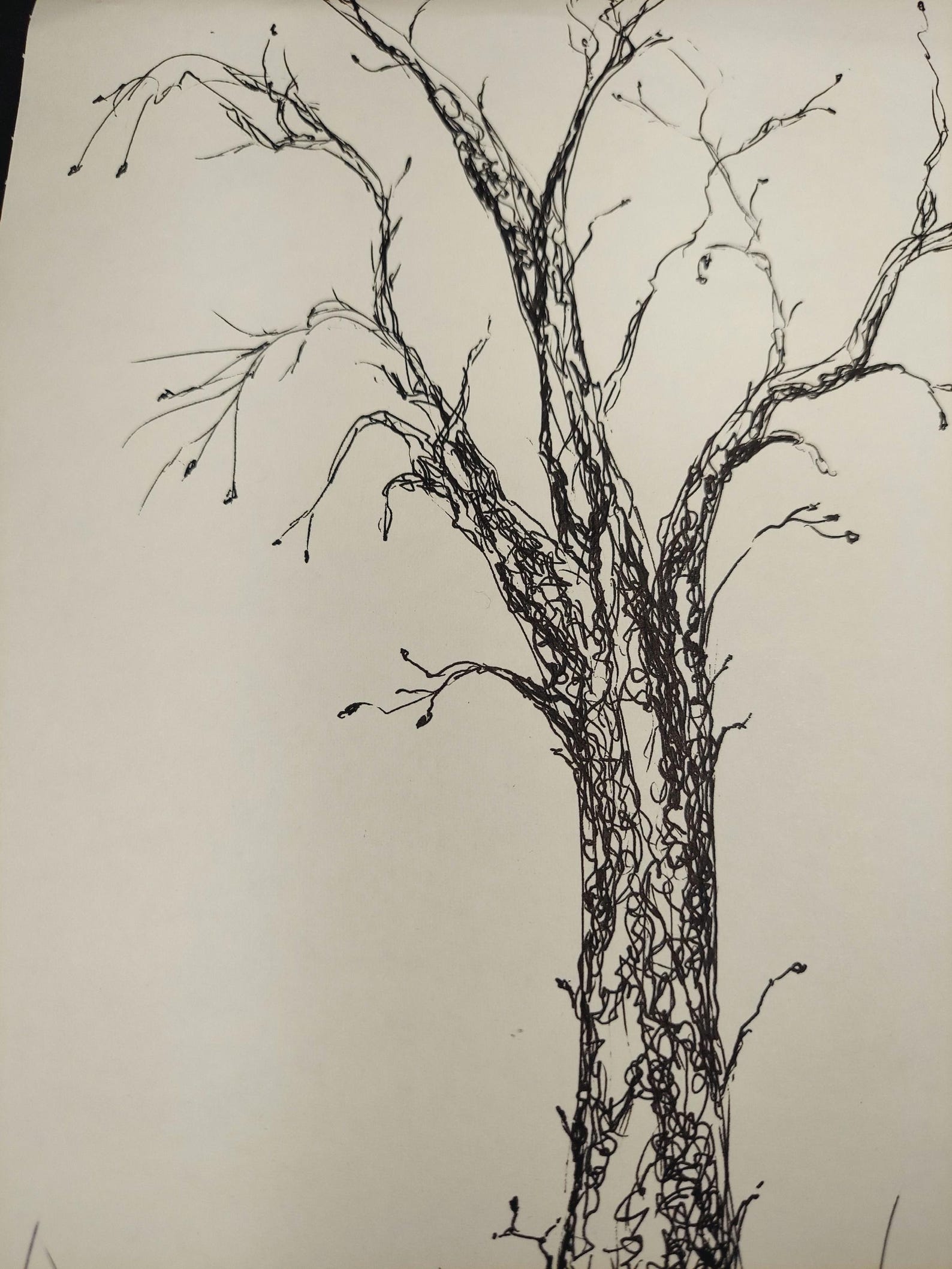Tree Drawing, Pen and Ink, Black and White. 9 X 12 - Etsy