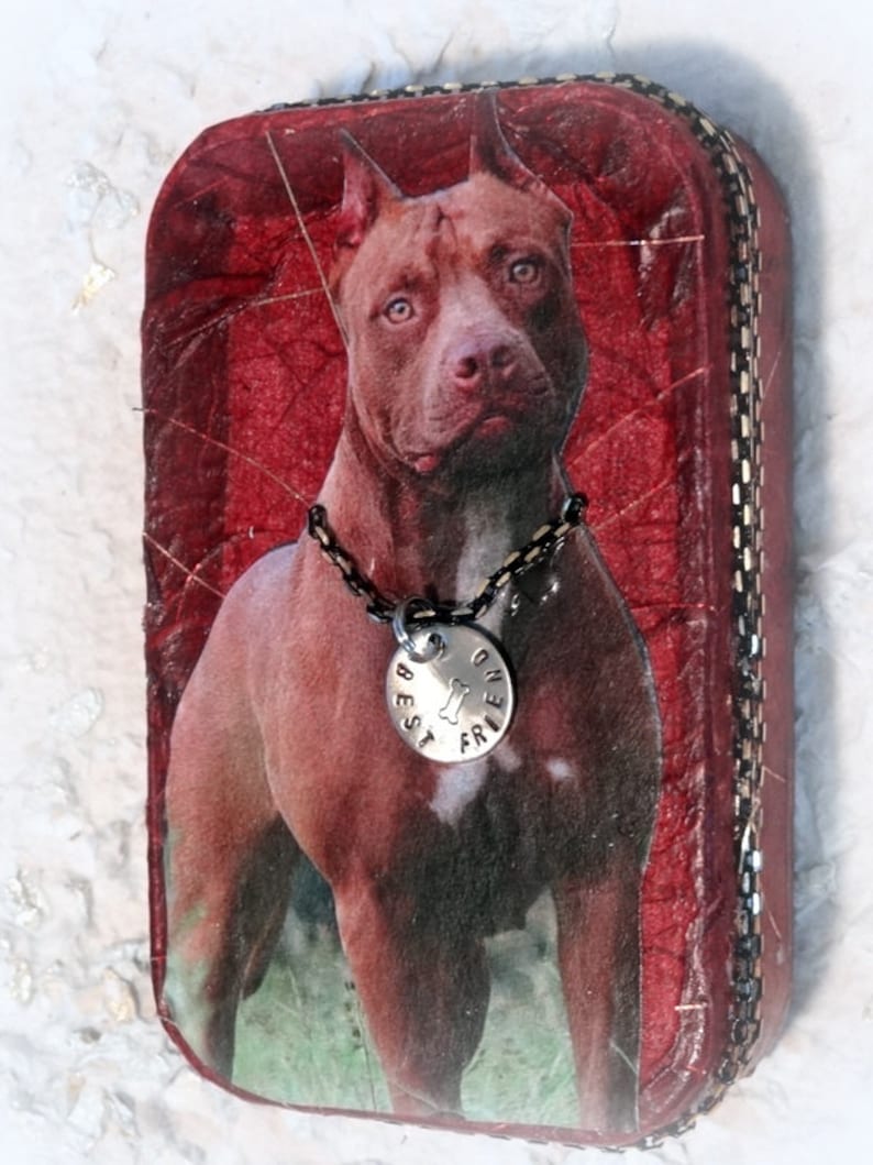 Pit Bull, Altered Tin Box, Memory Box, Coin Purse, Credit Card Case ...