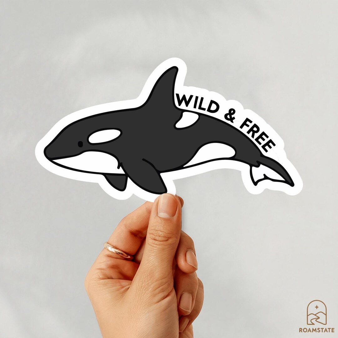 Orca Sticker, Whale Decal, Ocean Decor - Etsy