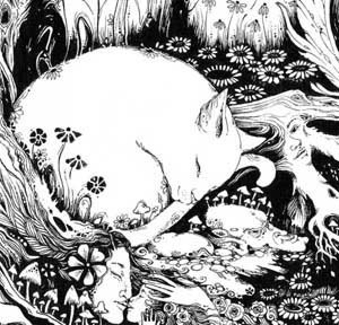 Fairy Cat Fantasy Art Print Black And White Drawing Cat With Fairies