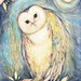 Blue Owl Art Print From the Original Painting Original Barn Owl Art ...