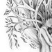 Tree of Love Art Print Tree Lovers Romantic Art Print Man Woman Tree ...