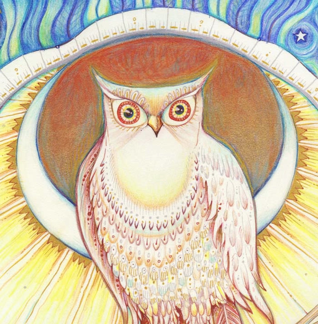 Moon Owl Art Print From the Original Drawing by Liza Paizis - Etsy