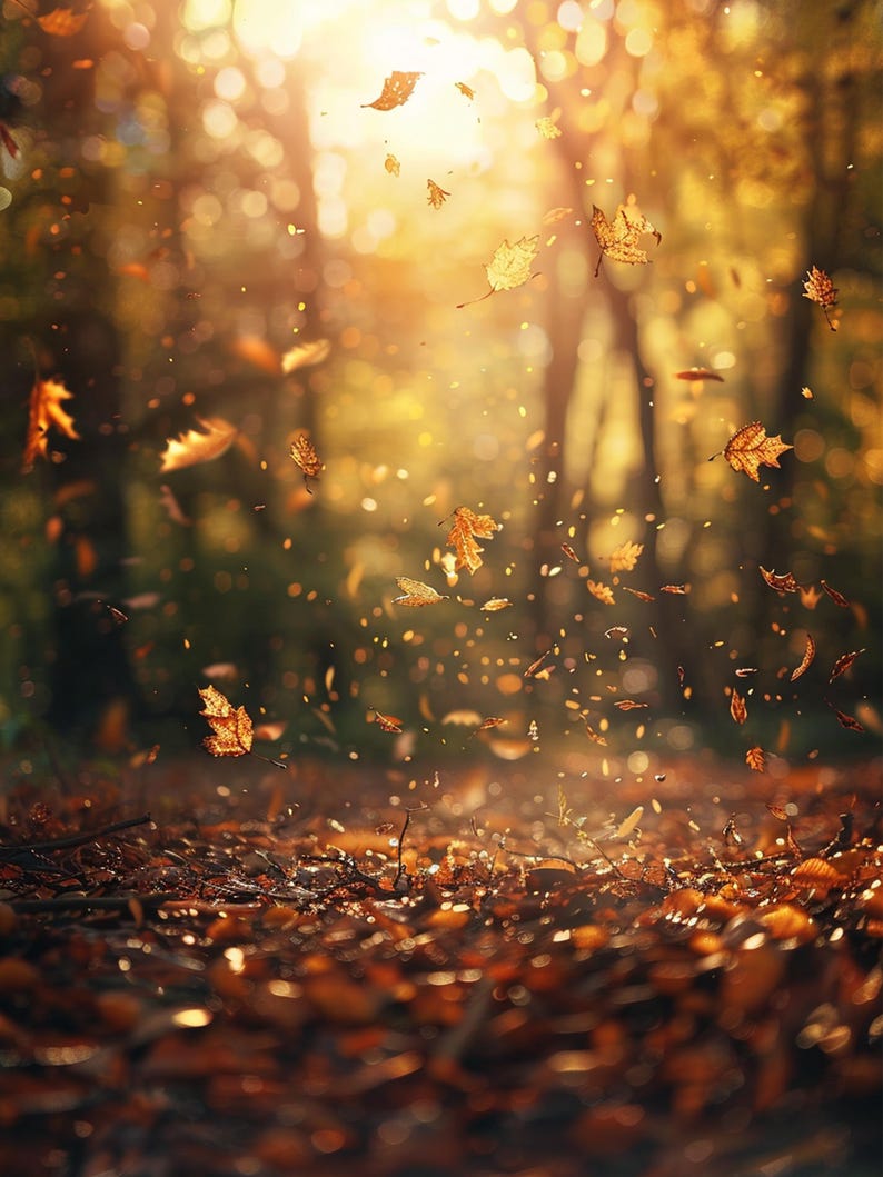Autumn Bokeh Photography Backdrops: 40+ Fall Leaves Digital Overlays ...