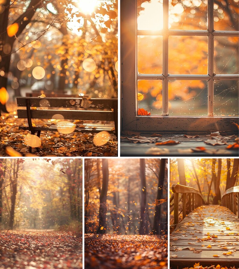 Autumn Bokeh Photography Backdrops: 40+ Fall Leaves Digital Overlays ...