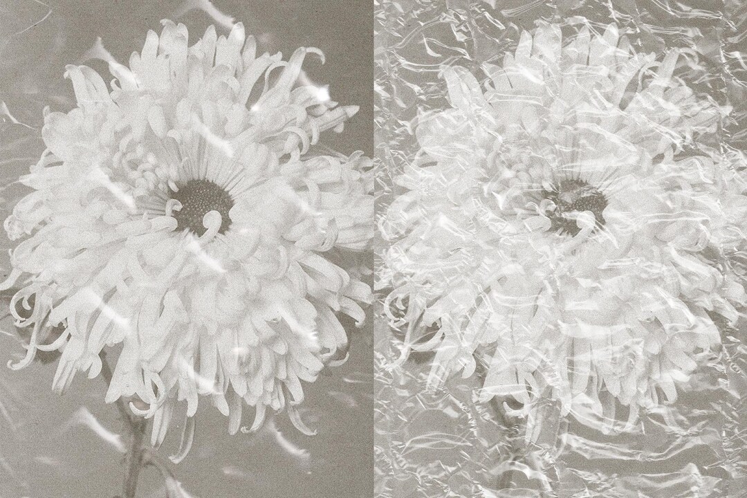 Bubble Plastic PNG Overlays: Scanned Textures for Canva & Photoshop ...