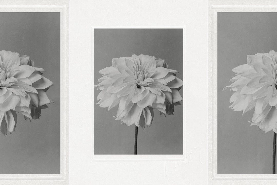 Vintage Paper Textures & Frames: Hand-scanned Digital Design Assets ...