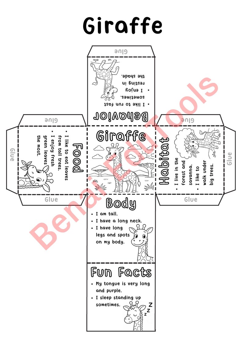 Wildlife Animal Paper Cube Craft | Color, Cut, Glue, Learn Fun Facts - Etsy