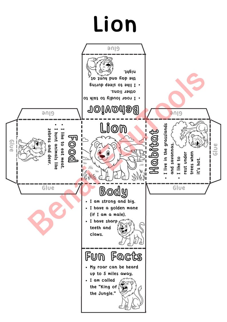 Wildlife Animal Paper Cube Craft | Color, Cut, Glue, Learn Fun Facts - Etsy