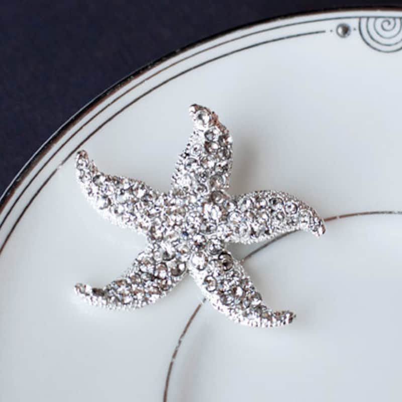 Starfish Brooch - Etsy