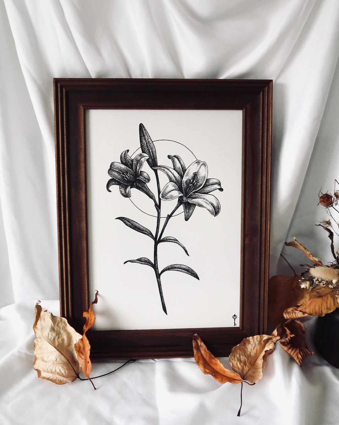 I. the Eclipse (lily Study) - Arcadia Collection / A4 Limited Edition ...