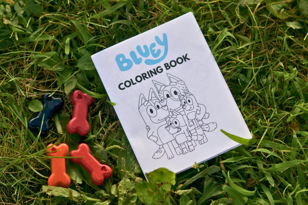 Bluey Coloring Book Set - Etsy