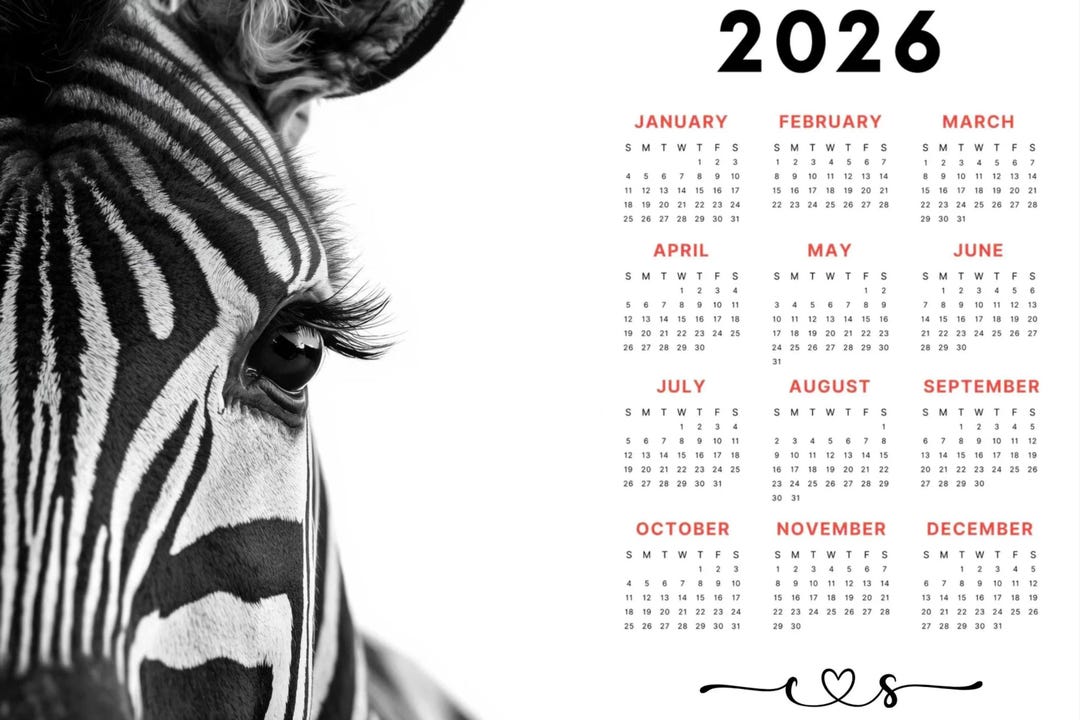 Large 24x36 Digital Print, 2026 Wall Calendar Zebra Art,7000px High-res ...