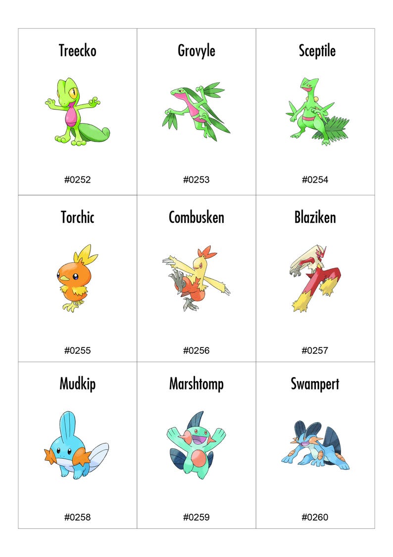 National Pokédex Master Set Printable Binder Tracker, Full Pokémon ...