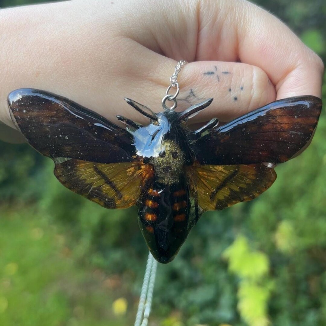 Death Head Hawk Moth Necklace (real Resin Coated Death Head Hawk Moth ...