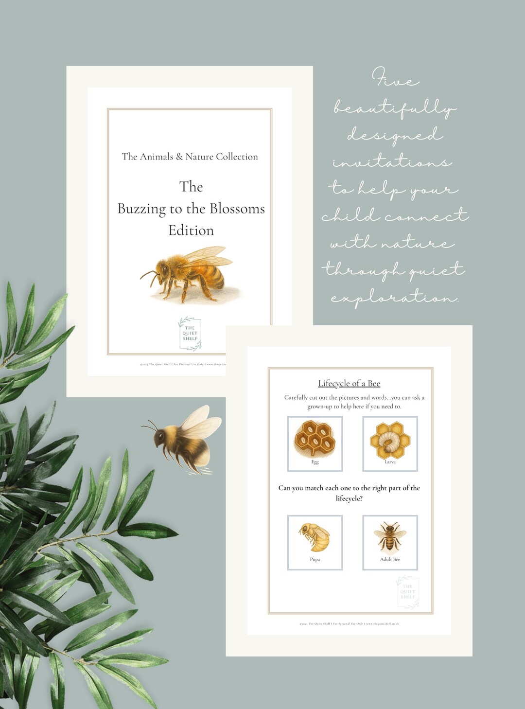 Bee Lifecycle & Anatomy Montessori Printable I Pollination Game, Insect ...