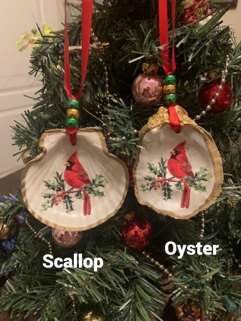 Handmade Cardinal Oyster & Scallop Shell Christmas Ornaments: Coastal ...