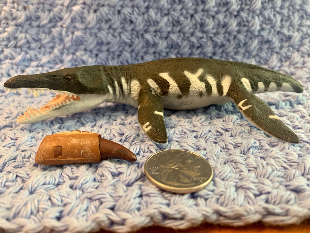 RARE Juvenile Liopleurodon Tooth Replica - Etsy