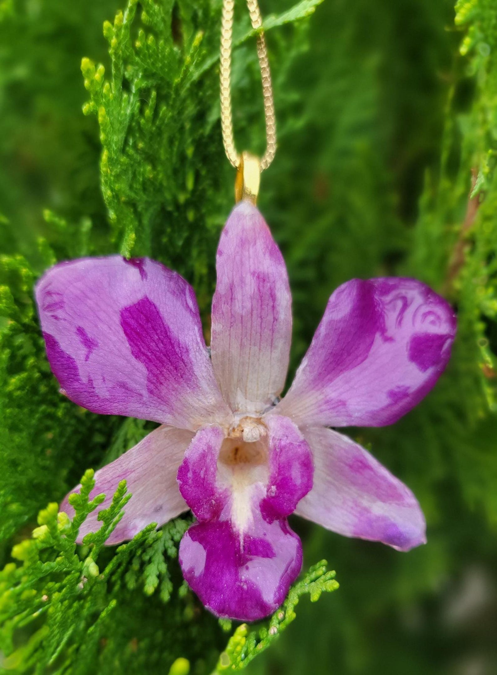 Real Orchid Pendant and 18k Gold Plated Chain Necklace - Etsy