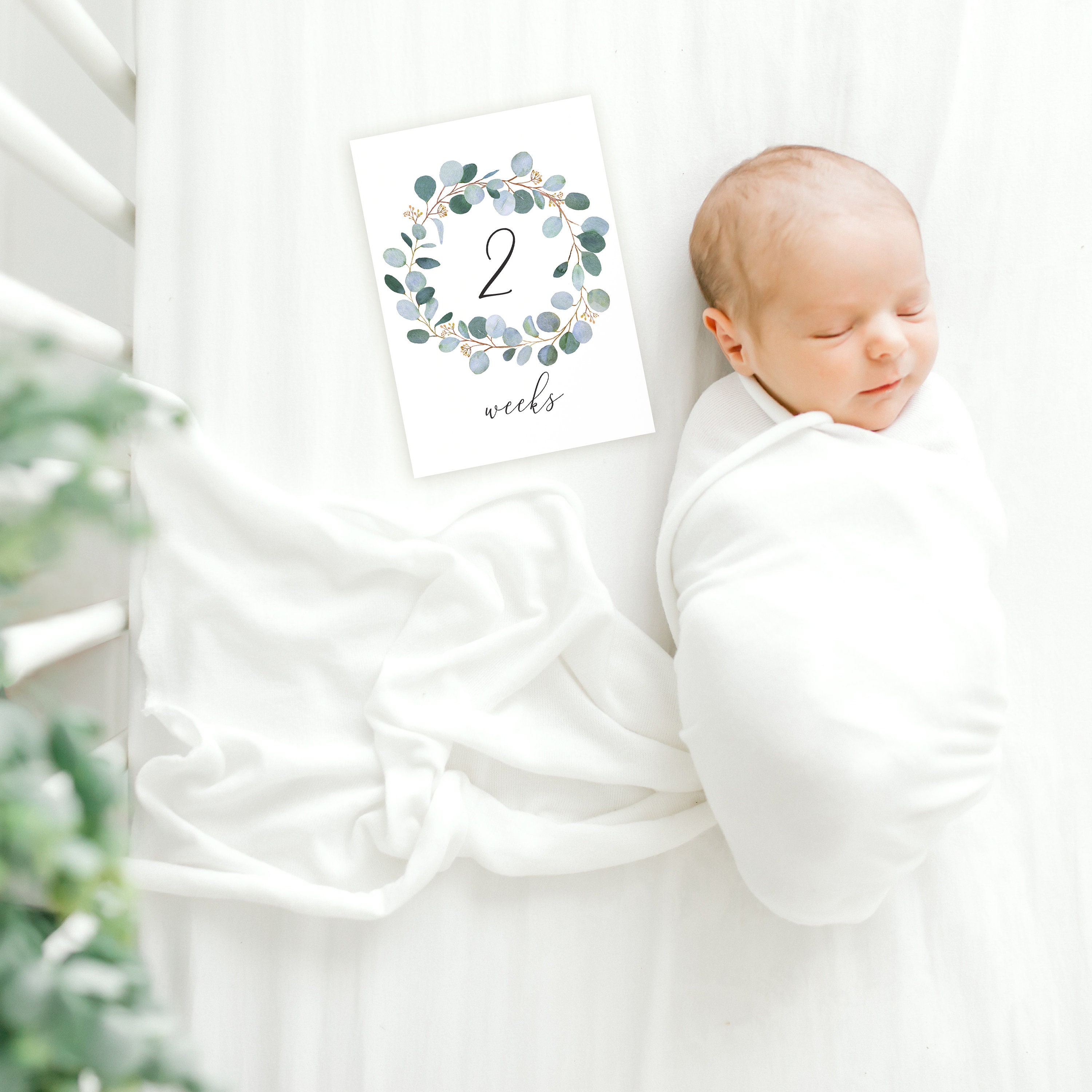 1st Year Baby Milestone Cards With Scripture Verses | Etsy