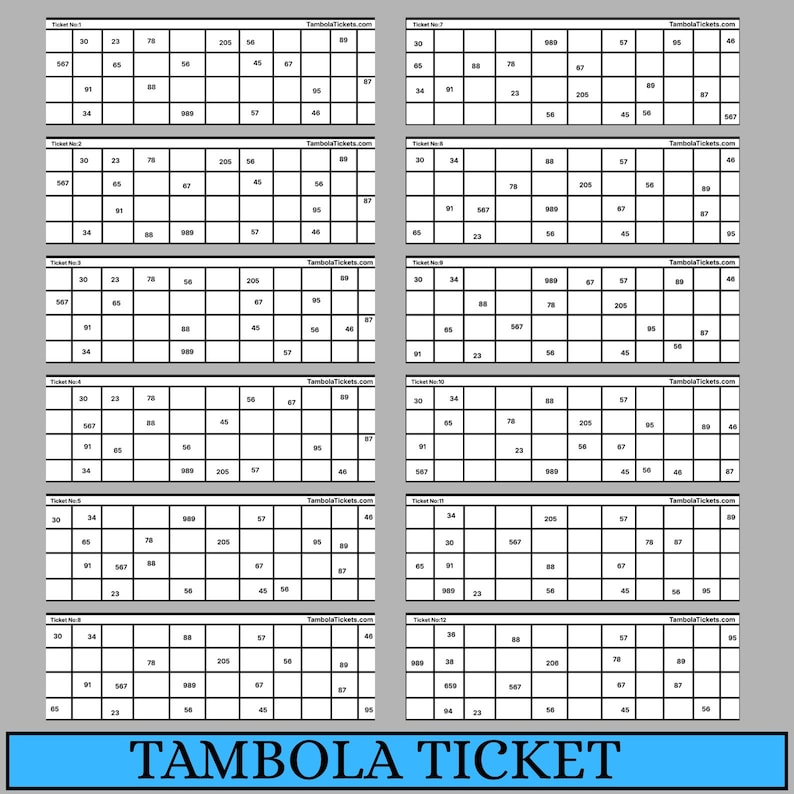 Tambola Ticket Printable Party Cards | Festive Tambola Ticket Game Set ...