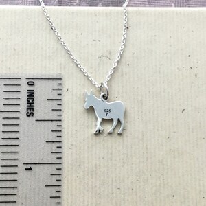 Donkey Necklace, Democratic Party Political Candidate Election Jewelry ...