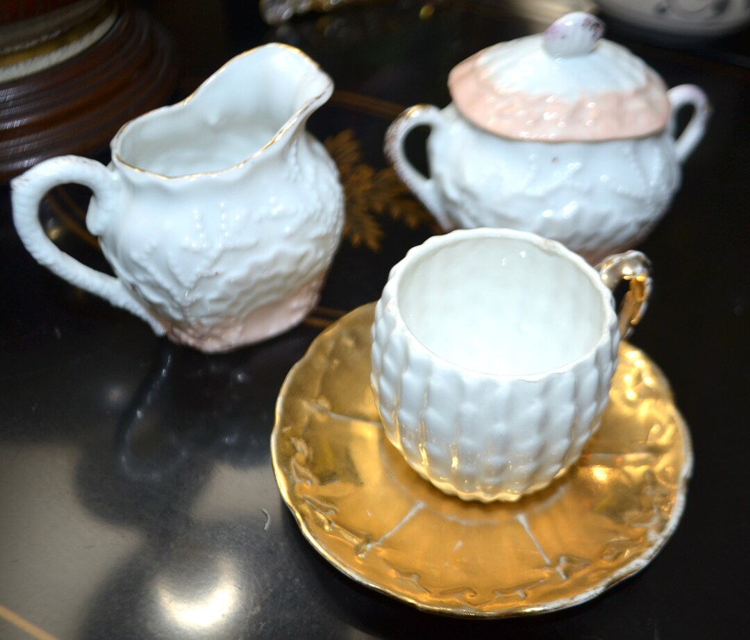 Antique Porcelian Seashell and Coral Reef Sugar, Creamer & Demitasse ...