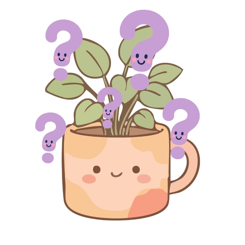 Surprise Houseplant - Etsy