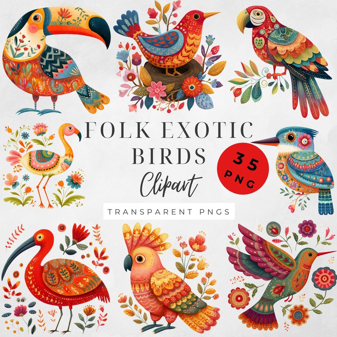 Folk Art Bird Clipart: Exotic Birds, Colorful Watercolor PNG, Digital ...