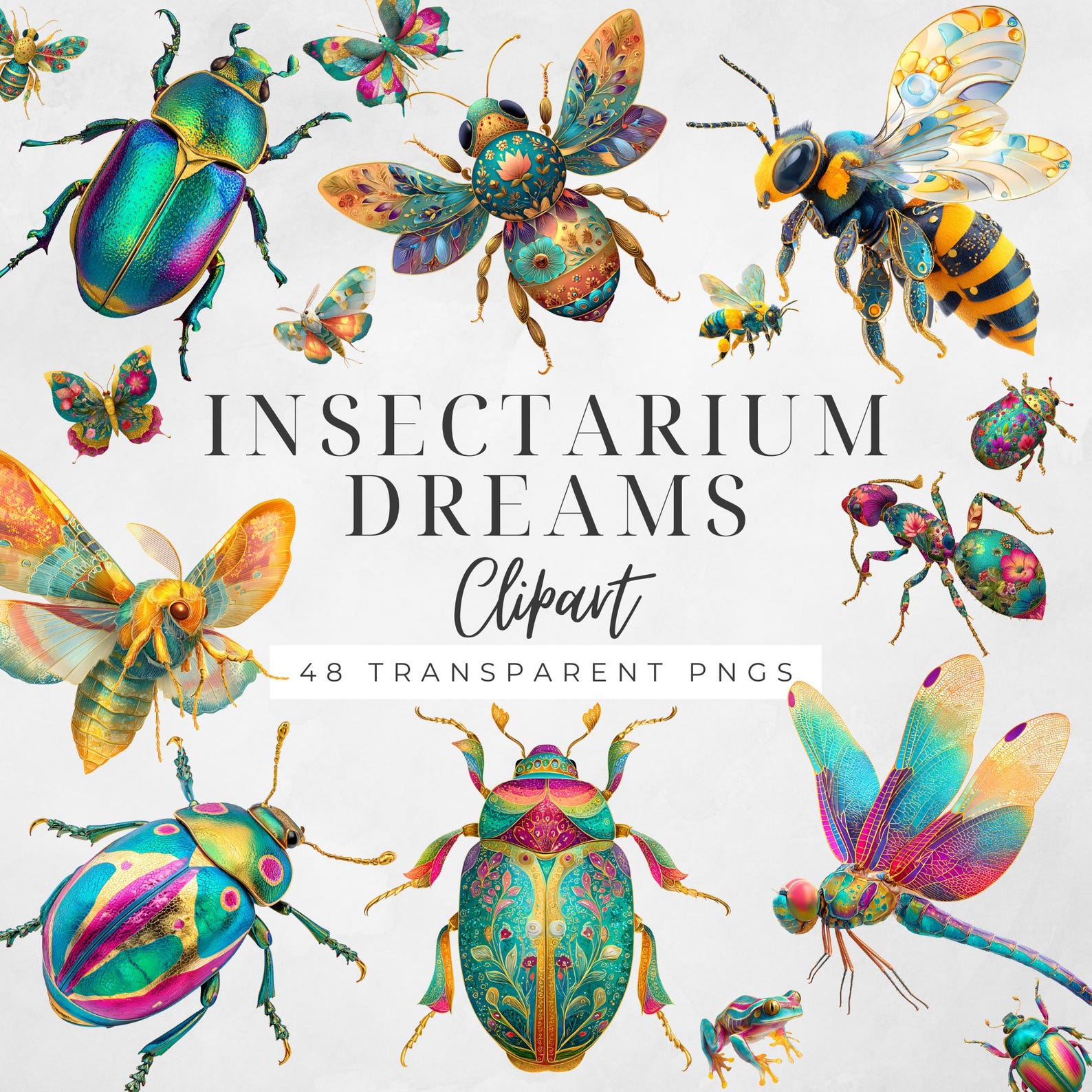 Insect Clipart, Colorful Bug Illustrations, Digital Download for ...