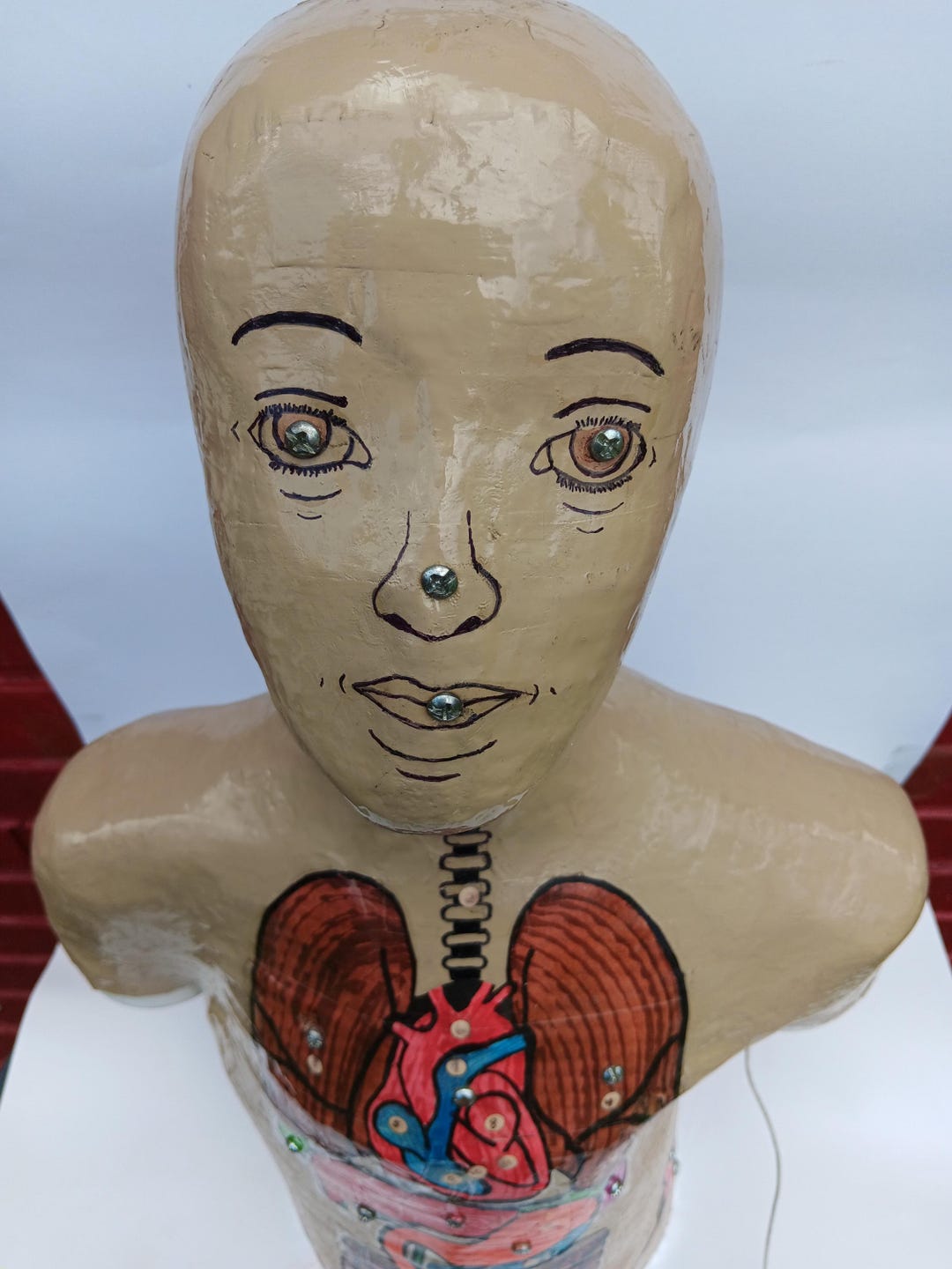 Human Body System Model of Head and Torso-battery Powered -refurbished ...